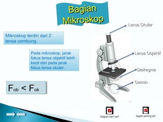 Microscope | PPT