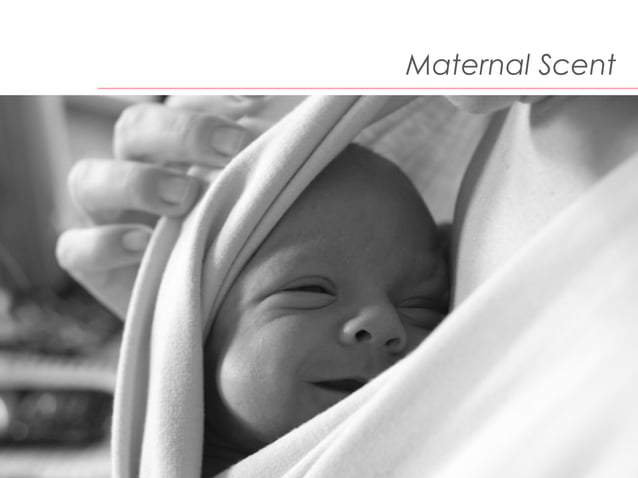 Oris ppt | PPT | Pregnancy | Reproductive Health