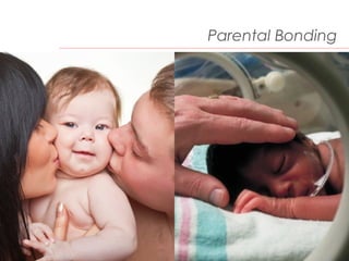 Oris ppt | PPT | Pregnancy | Reproductive Health