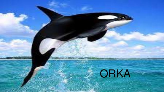 Orka