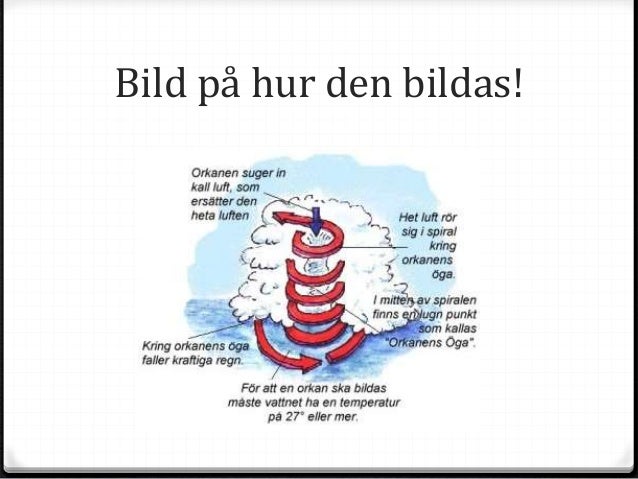 Orkaner och cykloner