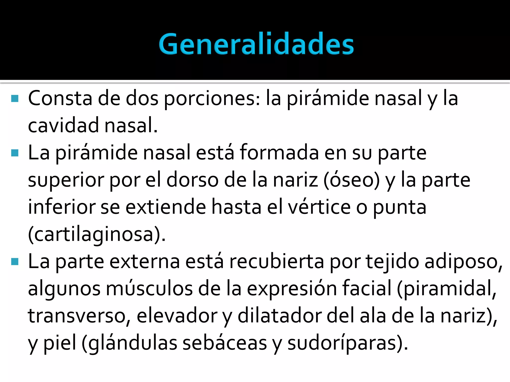 Otorrinolaringología - Anatomía de la nariz y senos paranasales | PDF