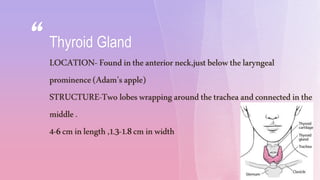Morphology of endocrine tissue | PPTX