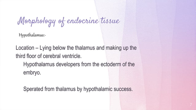 Morphology of endocrine tissue | PPT