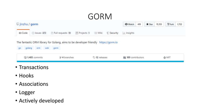 ORM in Go. Internals, tips & tricks | PPT