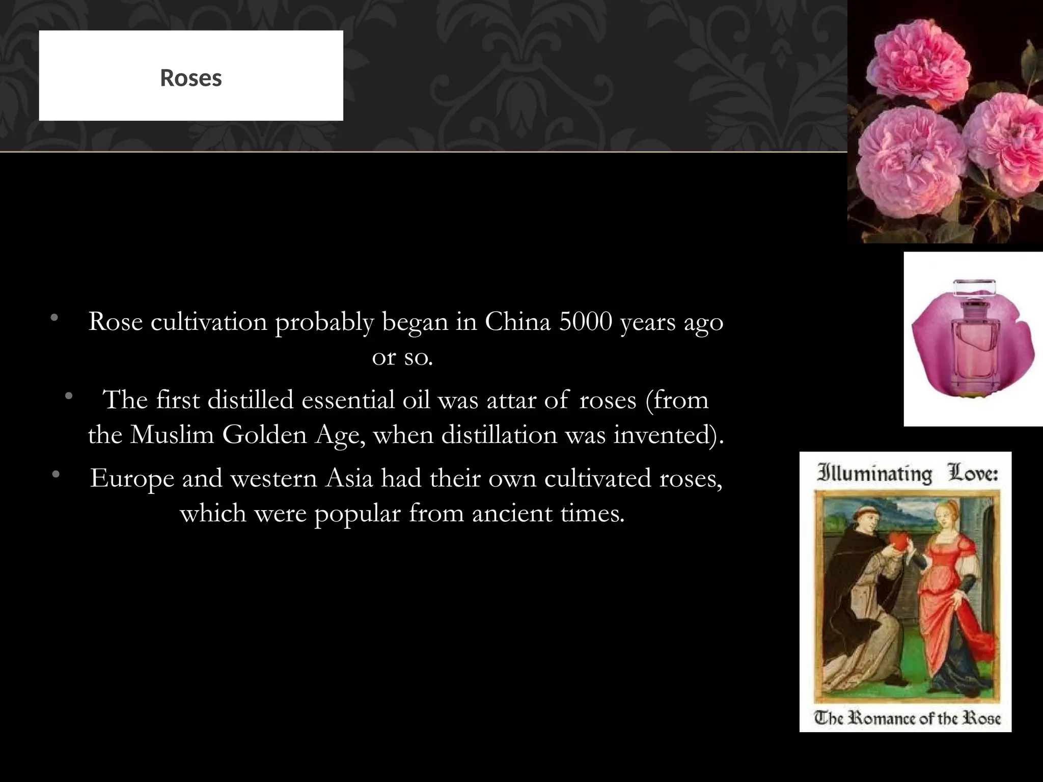 ORNAMENTAL HORTICULTURE POWERPOINT PRESENTATION | PPT