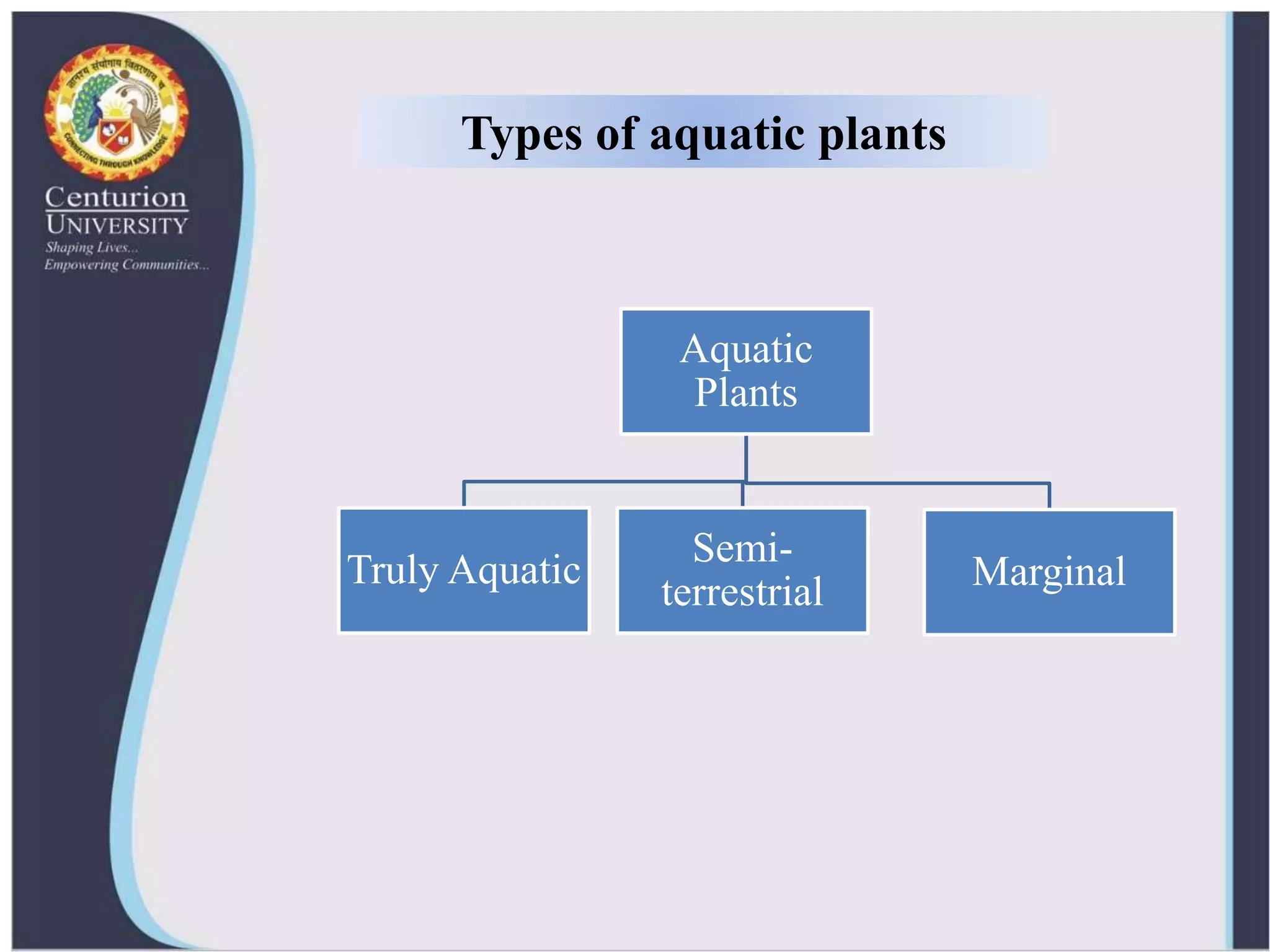 Ornamental aquatic plants and their propagation | PPTX