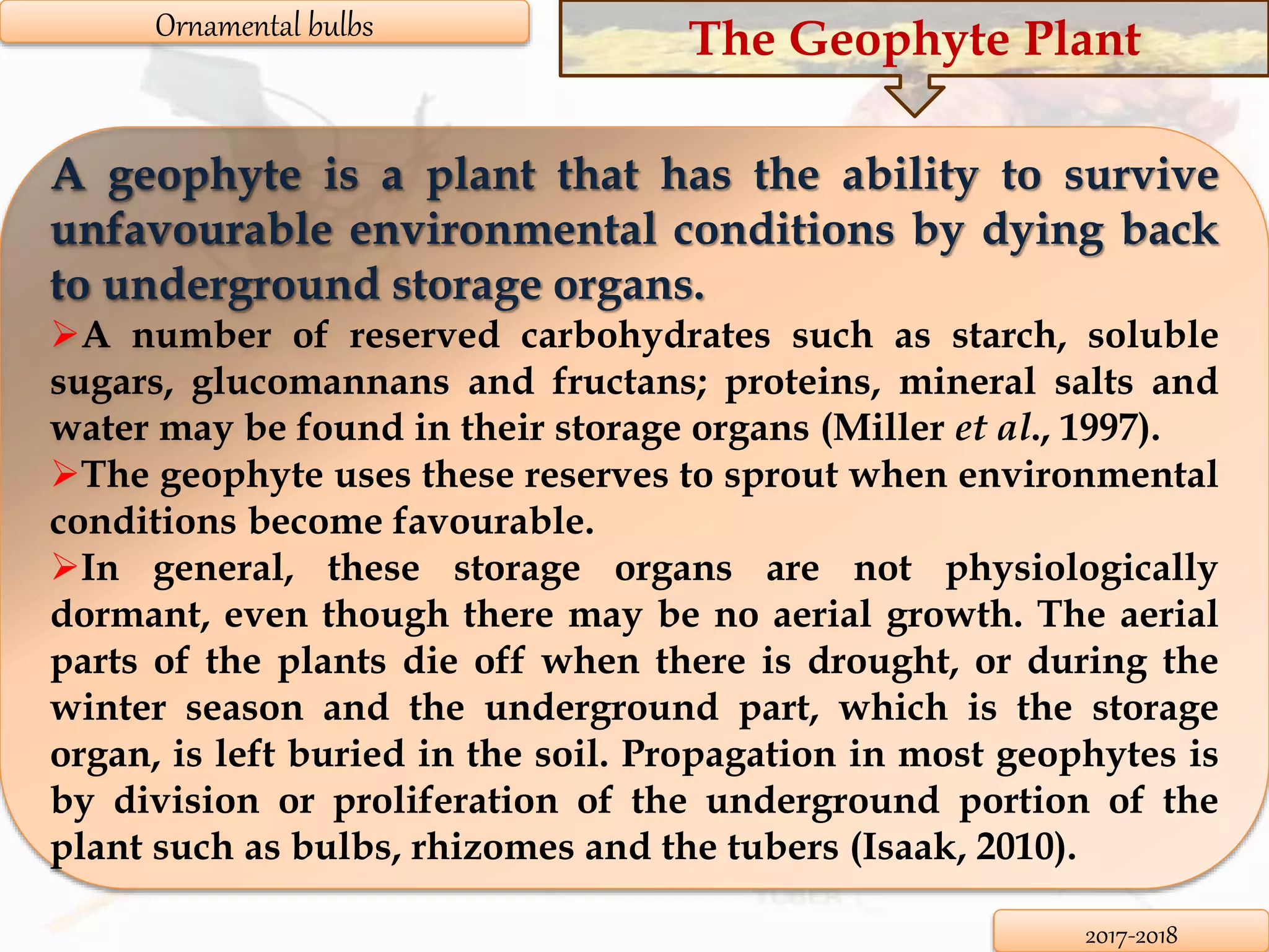 Ornamental bulbs | PPTX