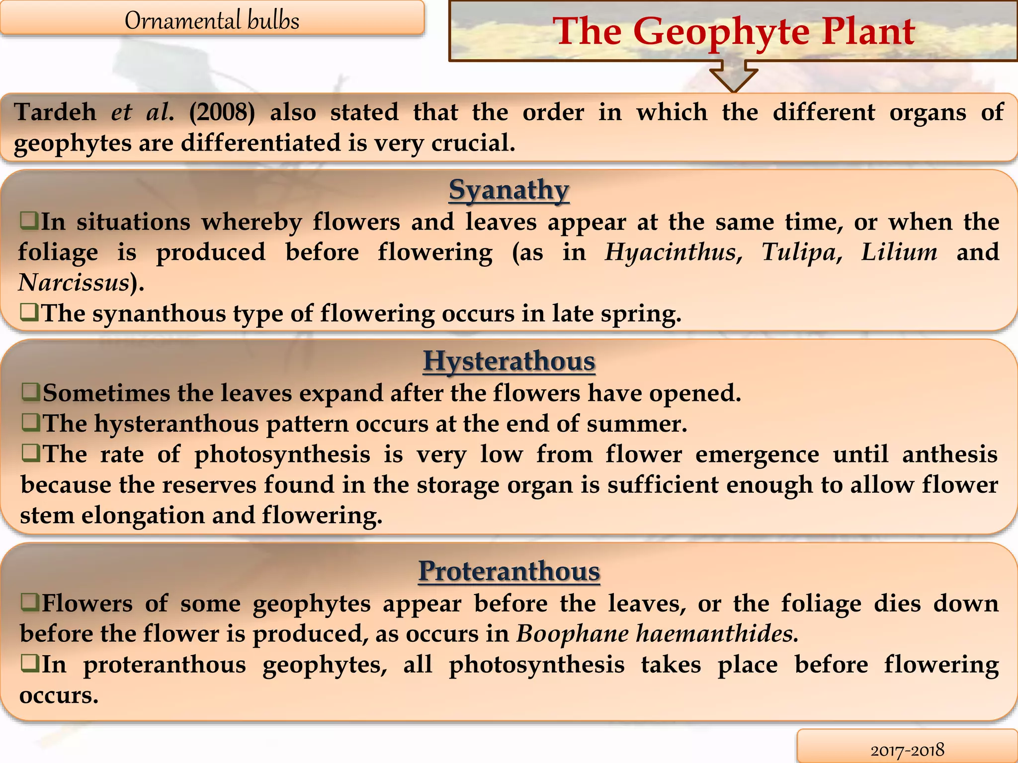 Ornamental bulbs | PPTX