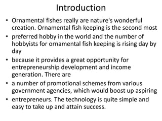 Ornamental fish culture | PPTX