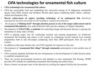 Ornamental fish culture | PPTX
