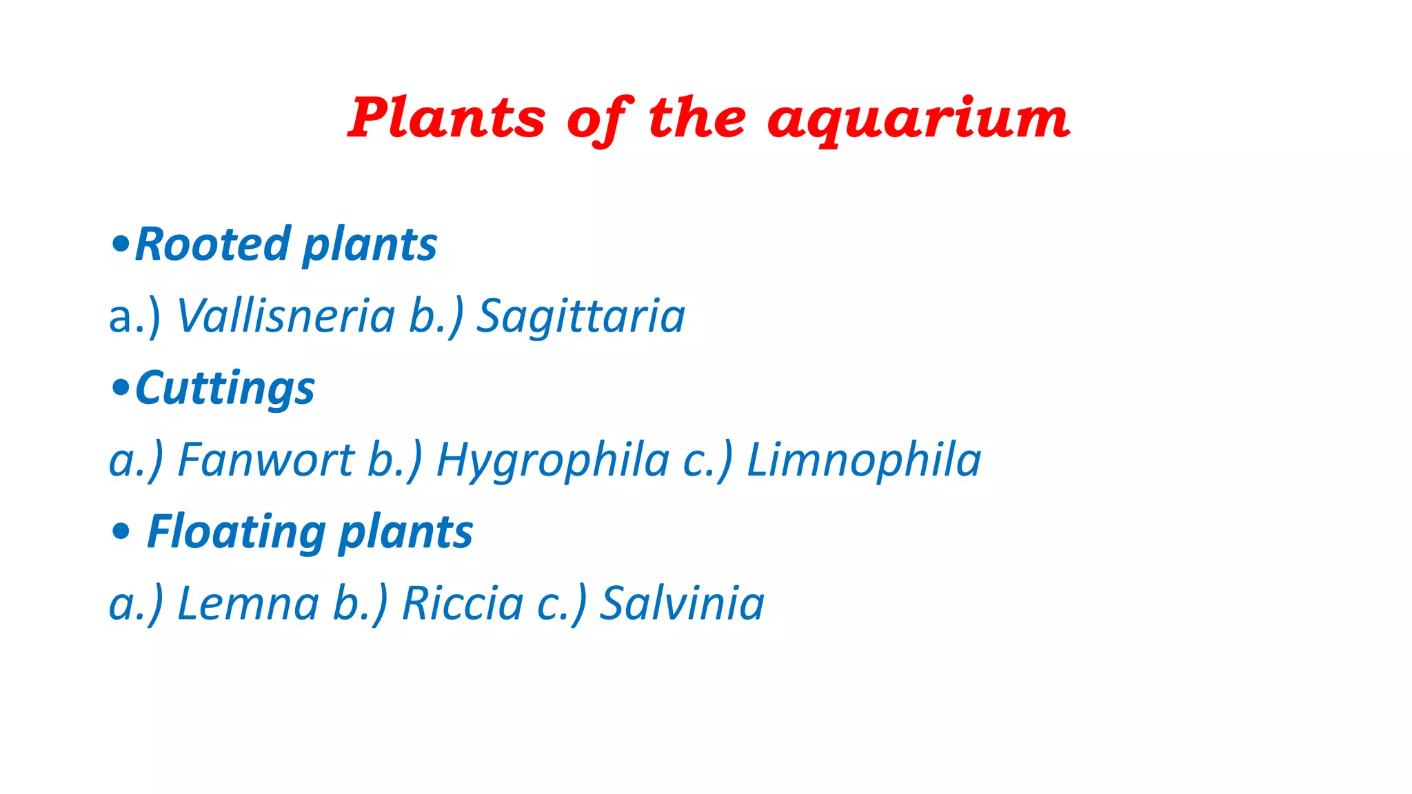 Ornamental fish culture | PPT