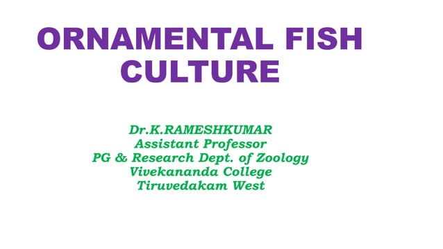Ornamental fish culture | PPT