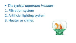 Ornamental fish culture | PPT