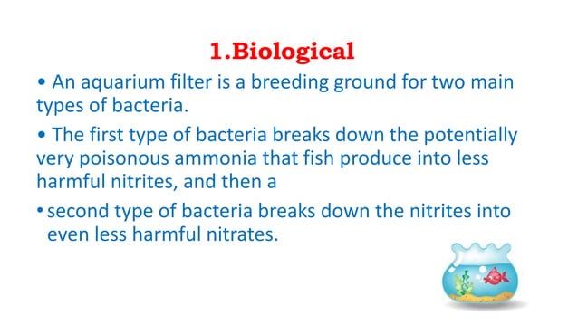 Ornamental fish culture | PPT
