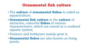 Ornamental fish culture | PPT