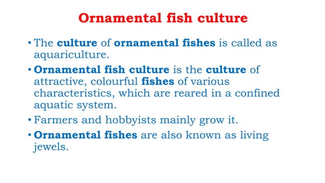 Ornamental fish culture | PPT