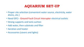 Ornamental fish culture | PPT