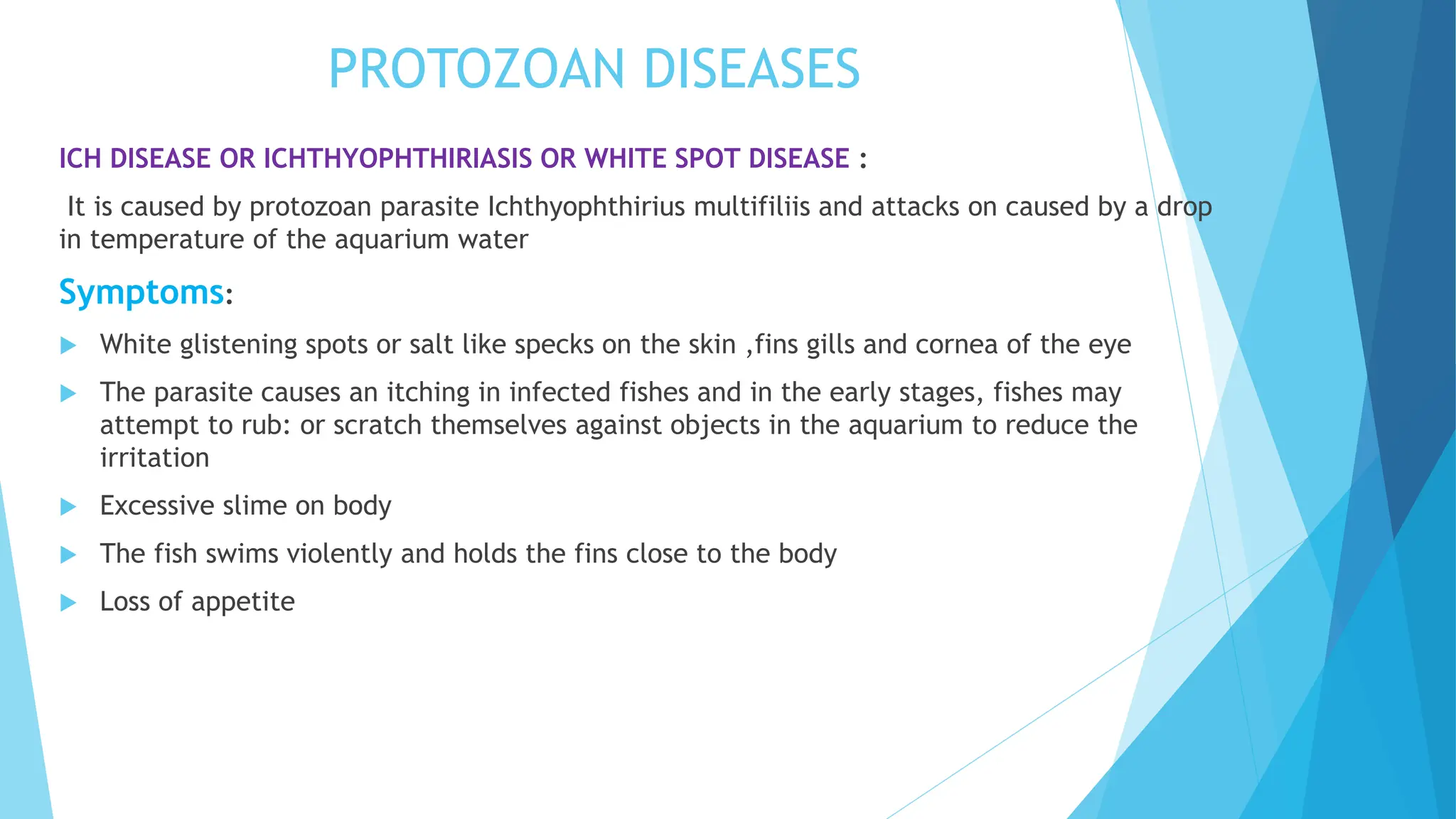 Different types of Ornamental fish disease.pptx