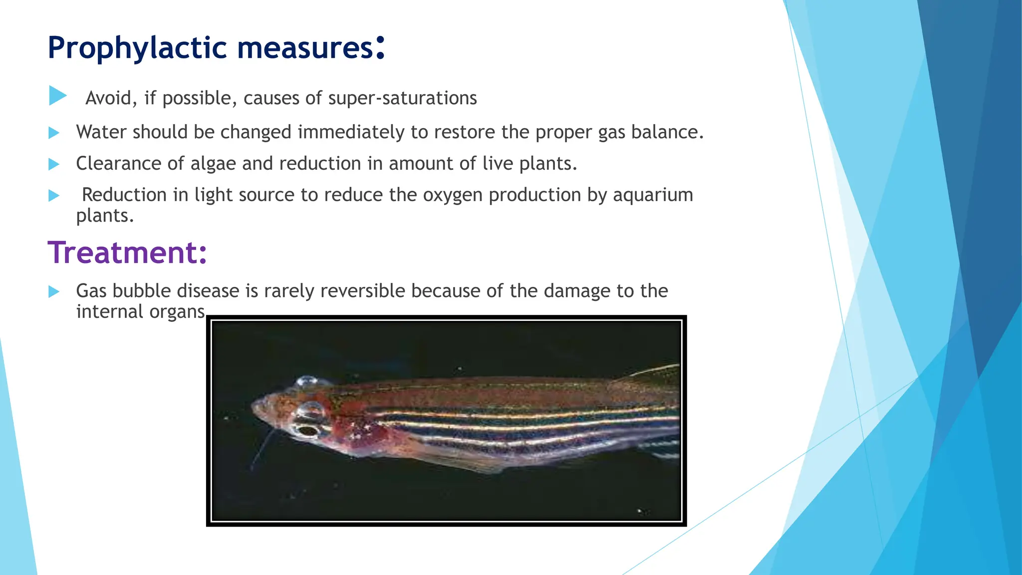 Different types of Ornamental fish disease.pptx