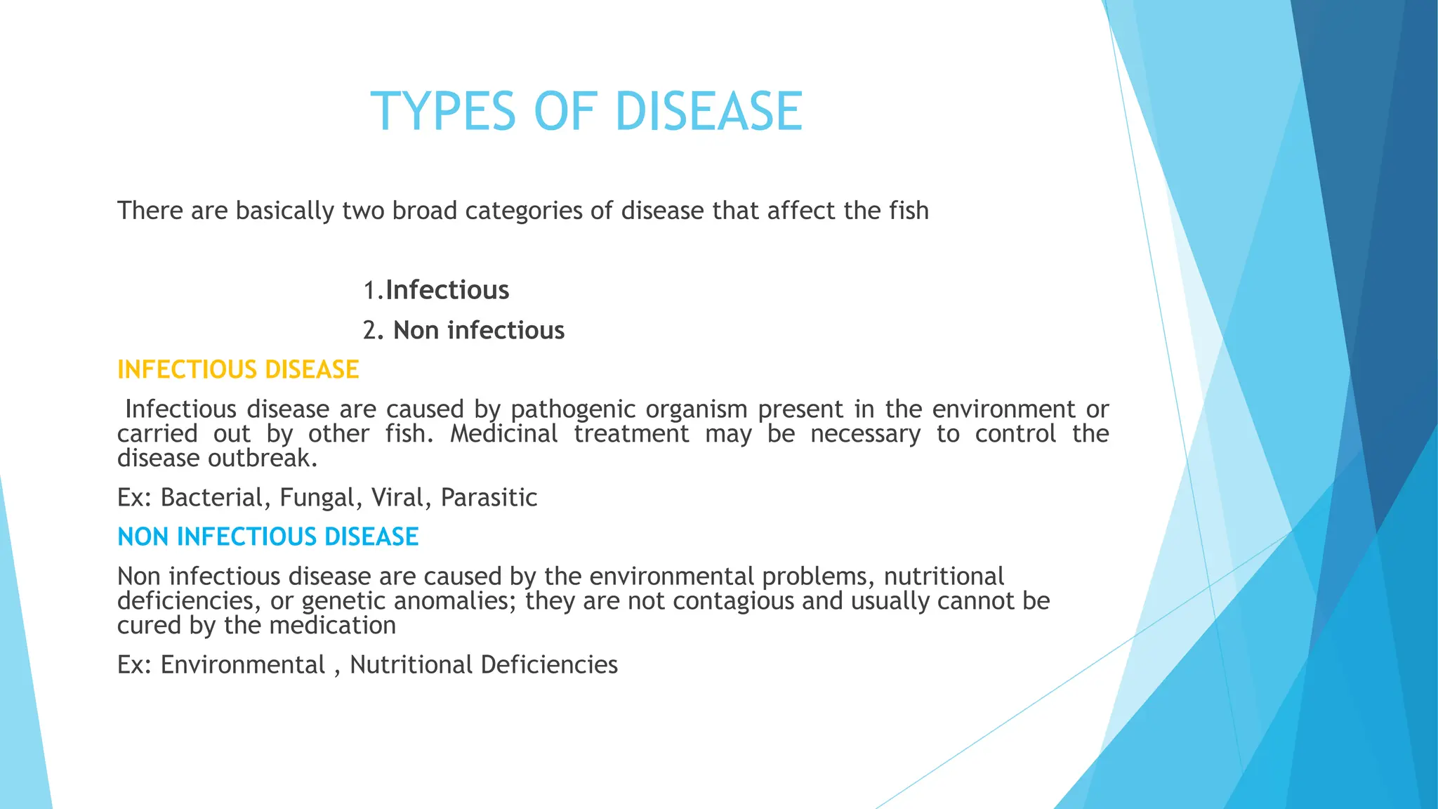 Different types of Ornamental fish disease.pptx | Infectious Diseases ...