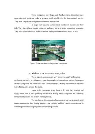 PRESENT PERFORMANCE AND FUTURE PROSPECT TO DEVELOPMENT OF ORNAMENTAL ...