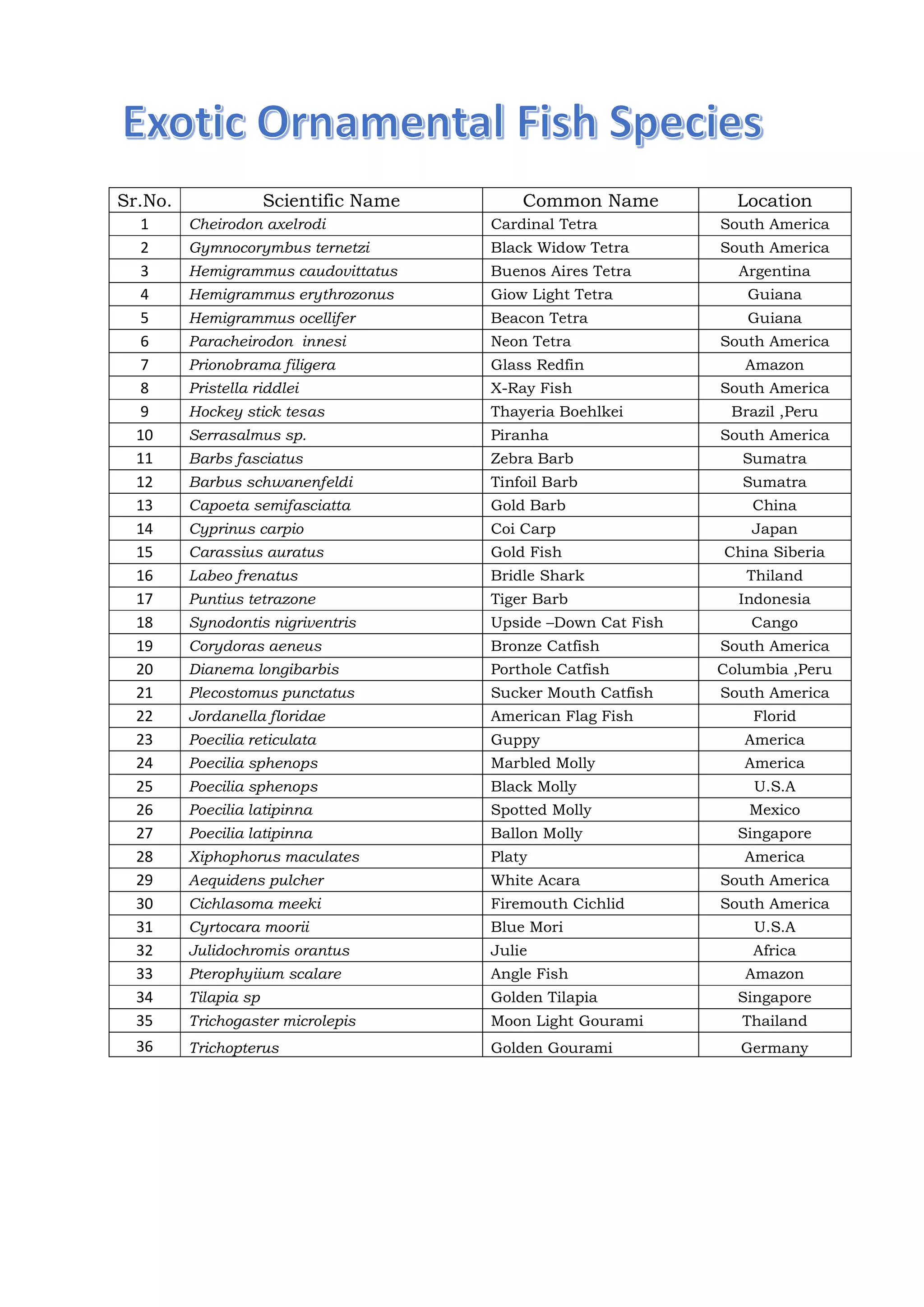 Ornamental Fish Species List | PDF