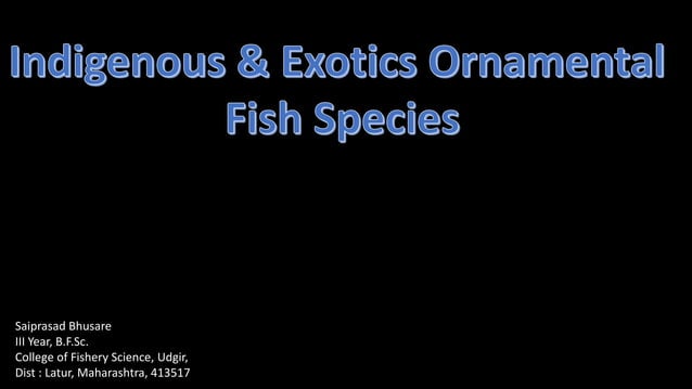 Ornamental Fish Species Presentation | PPTX | Fish and Aquariums | Pets
