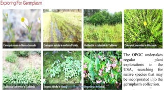 Ornamental plant germplasm | PPT