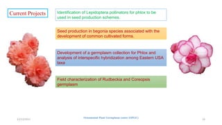 Ornamental plant germplasm | PPT