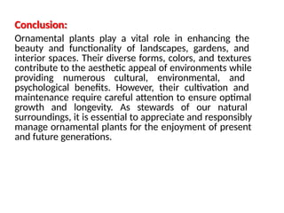 ornamental plant n.pptxdkdkdkkddkjkdiririd | PPTX