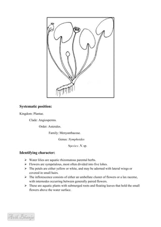 Ornamental Plants.pdf