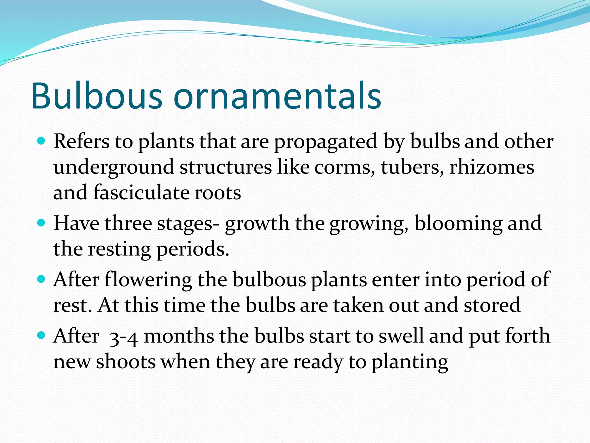 ORNAMENTAL PLANTS.pptx