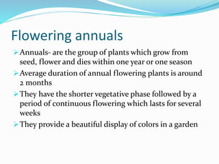 ORNAMENTAL PLANTS.pptx