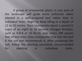 plants soil preparation and planting procedure in landscaping | PPT