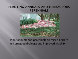 plants soil preparation and planting procedure in landscaping | PPT