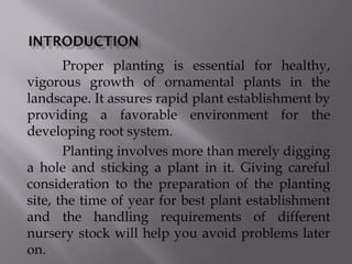 plants soil preparation and planting procedure in landscaping | PPT