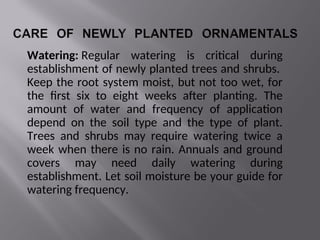 plants soil preparation and planting procedure in landscaping | PPT