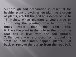 plants soil preparation and planting procedure in landscaping | PPT