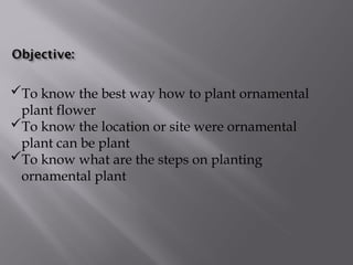 plants soil preparation and planting procedure in landscaping | PPT