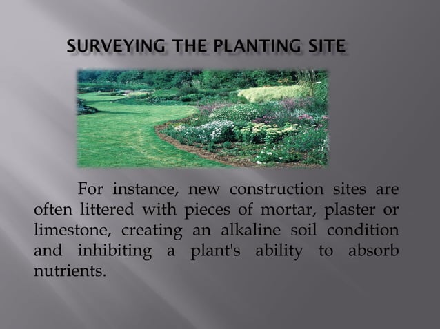 plants soil preparation and planting procedure in landscaping | PPT