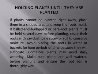 plants soil preparation and planting procedure in landscaping | PPT