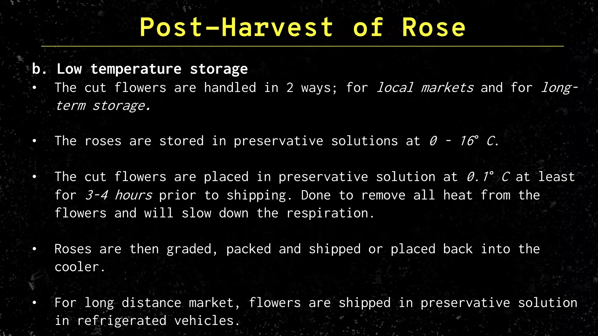 Rose cultivation practices, uses, variety, soil and climatic ...