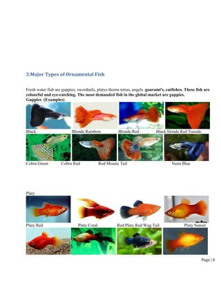 Ornamental fish cultivation | PDF
