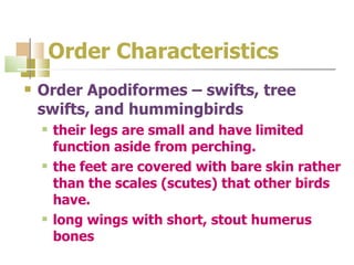 Ornithology 2011 | PPT