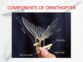 Ornithopter | PPTX | Air Travel | Travel Type