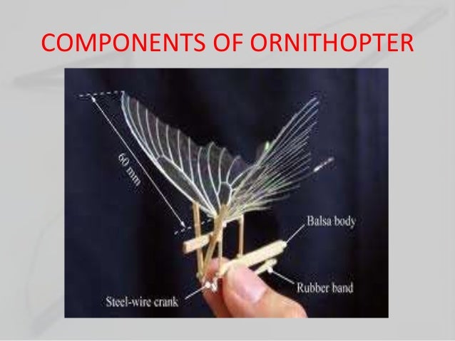 Ornithopter