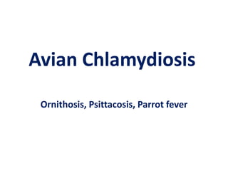 Ornithosis | PPT