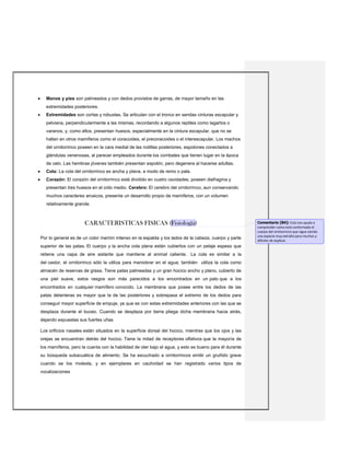 Ornitorrinco | PDF