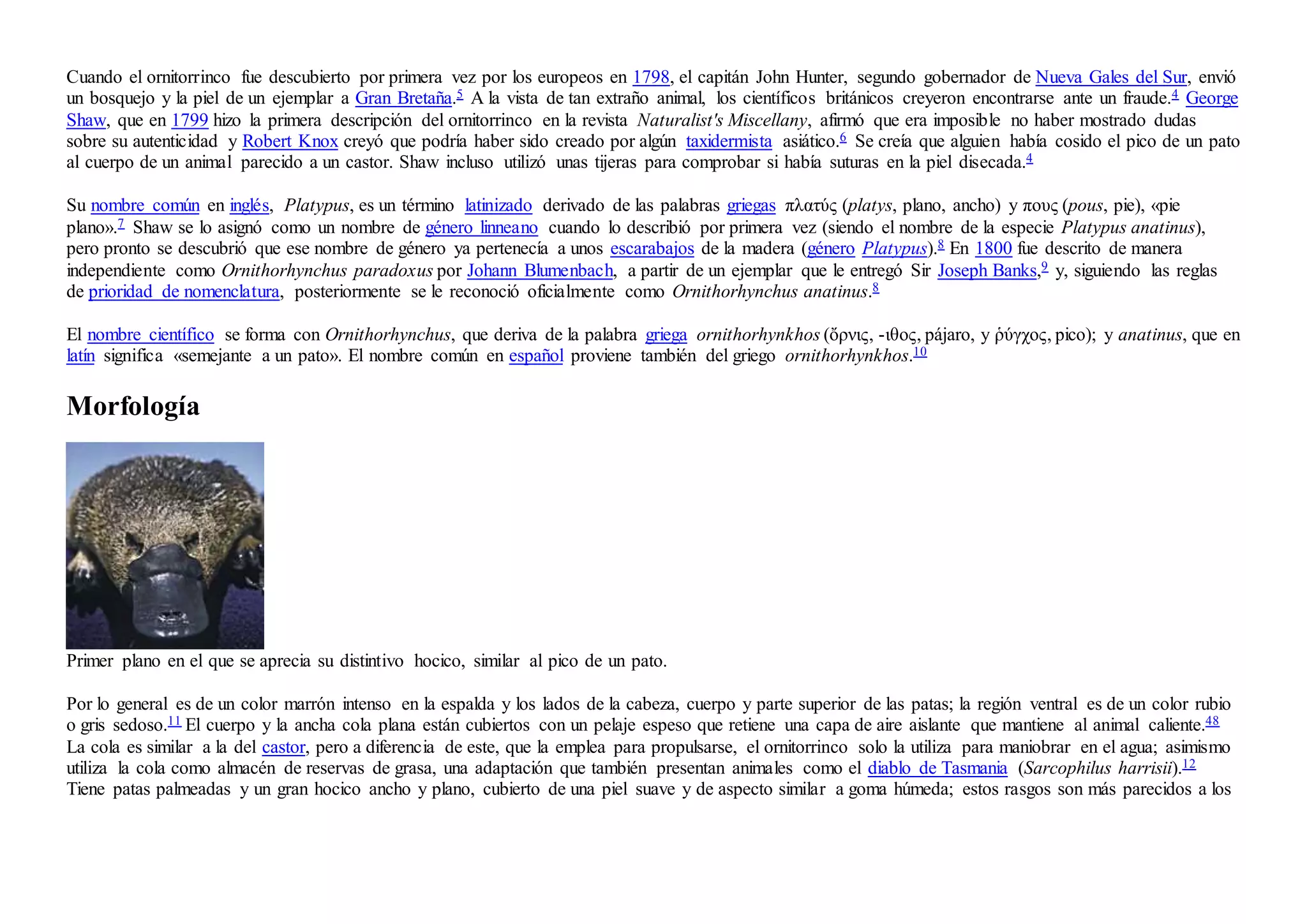 ornitorrinco.docx